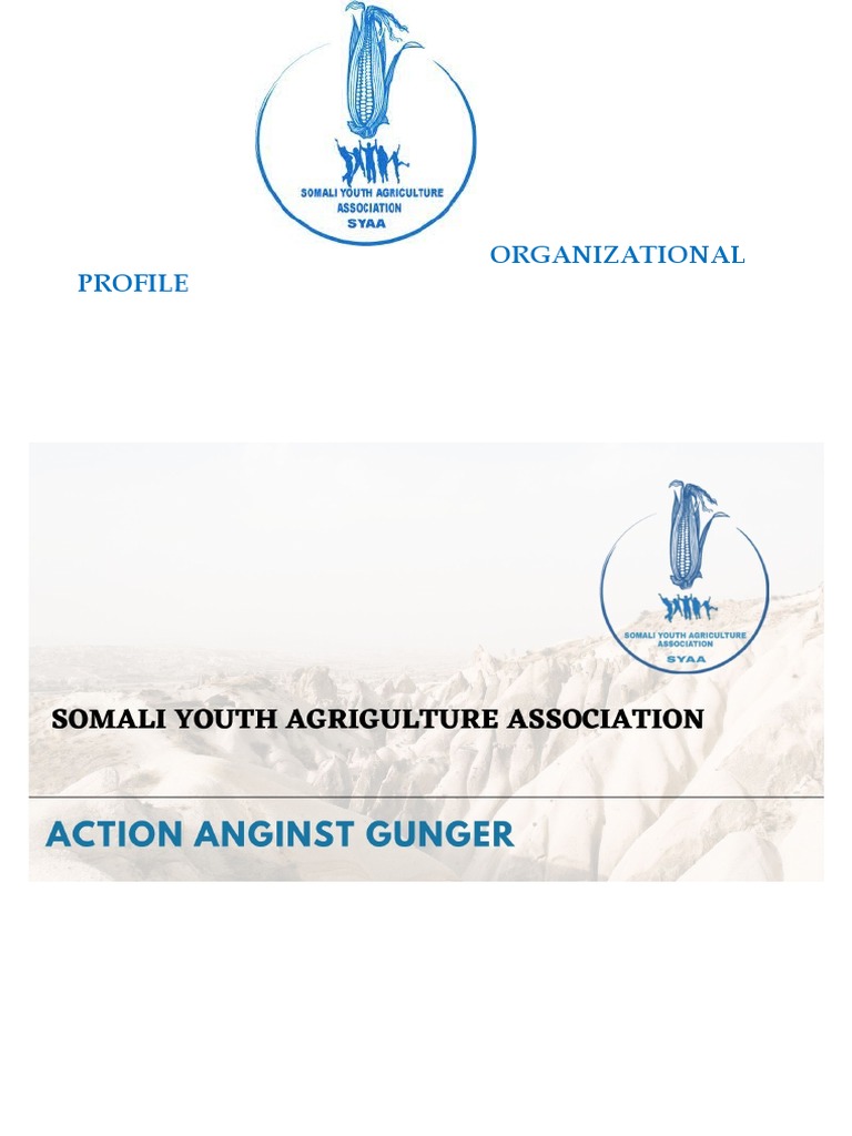 Organizational Profile | PDF