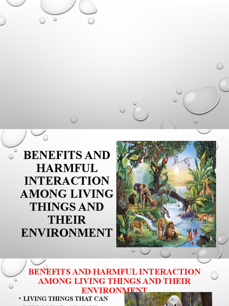Benefits and Harmful Interaction Among Living Things and Their ...