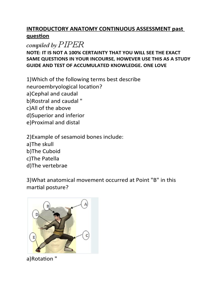 Anatomy Continuous Assessment: A Comprehensive Review of Key Anatomical ...