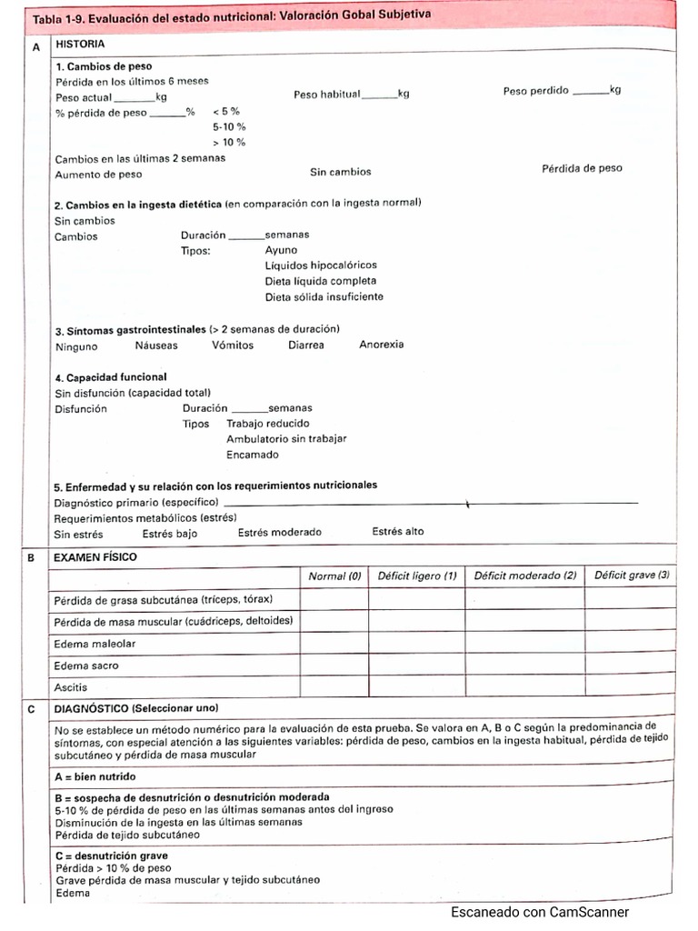 Valoración Global Subjetiva | PDF