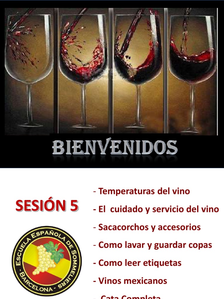 Sesión 5 | PDF | Vino | Uva