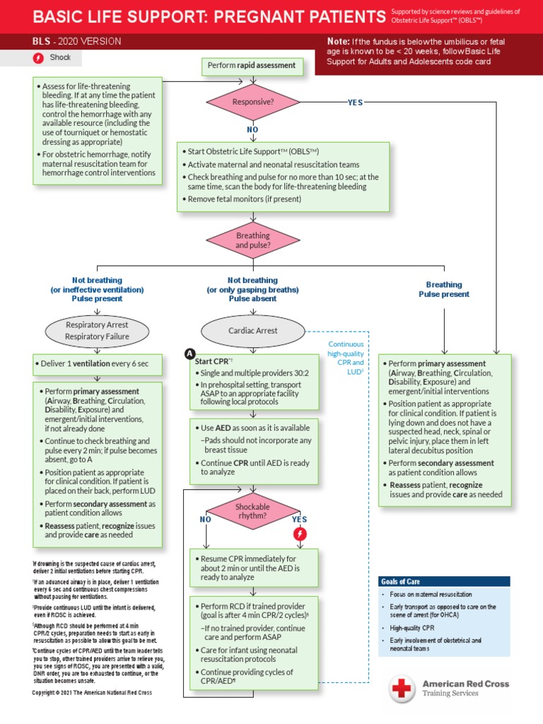 CC Cardiac Arrest Pregnancy | PDF