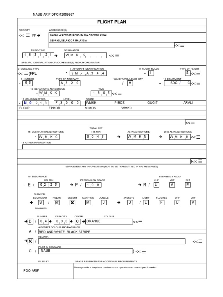 International Flight Plan Form | Download Free PDF | Transport Safety ...