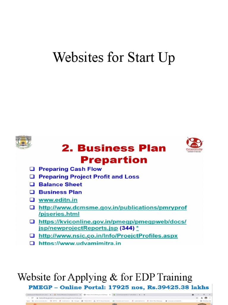 Startup - Project Reports | PDF