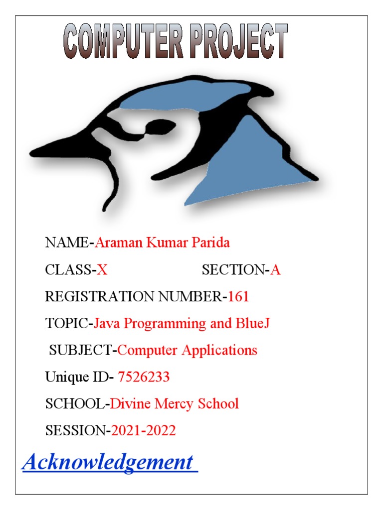 Computer Project Class 10 Icse Programming Divine Mercy | PDF | Parameter (Computer Programming ...
