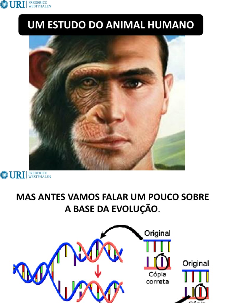 O Macaco Nu | PDF | Mutação | Orgasmo