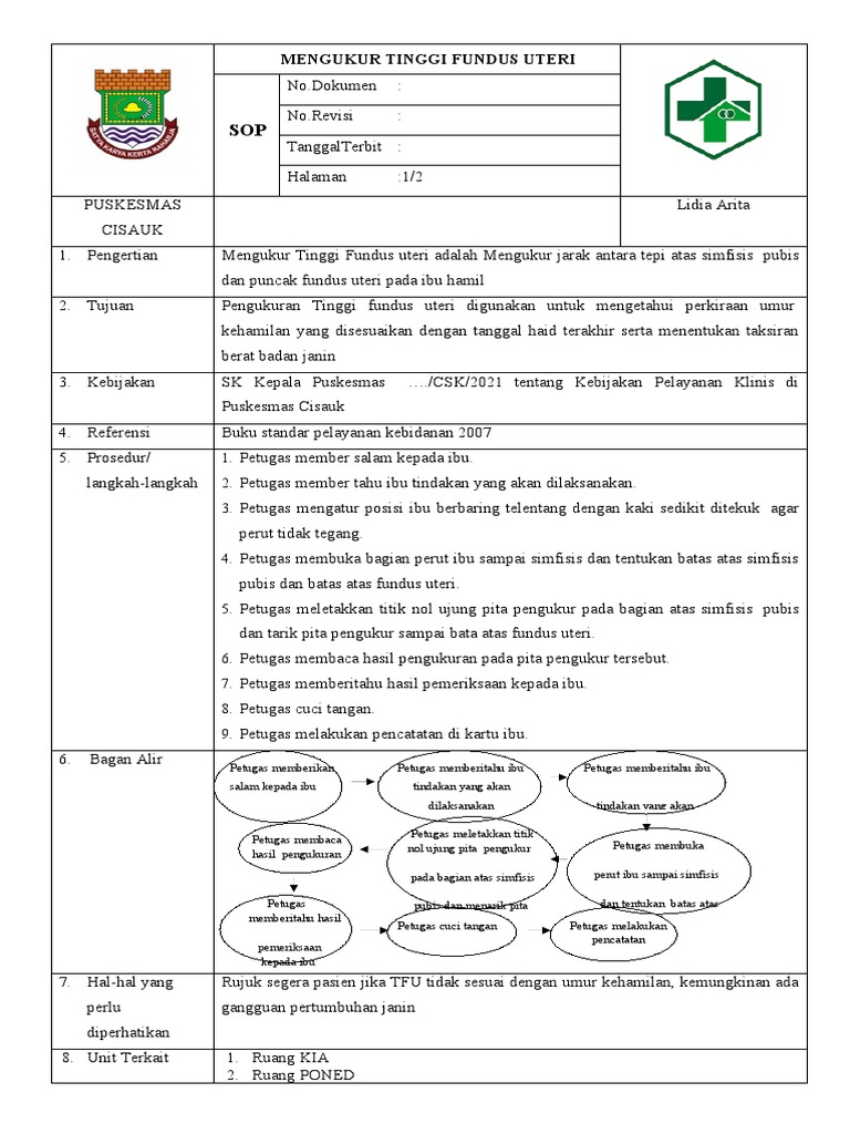 SOP Mengukur TFU | PDF