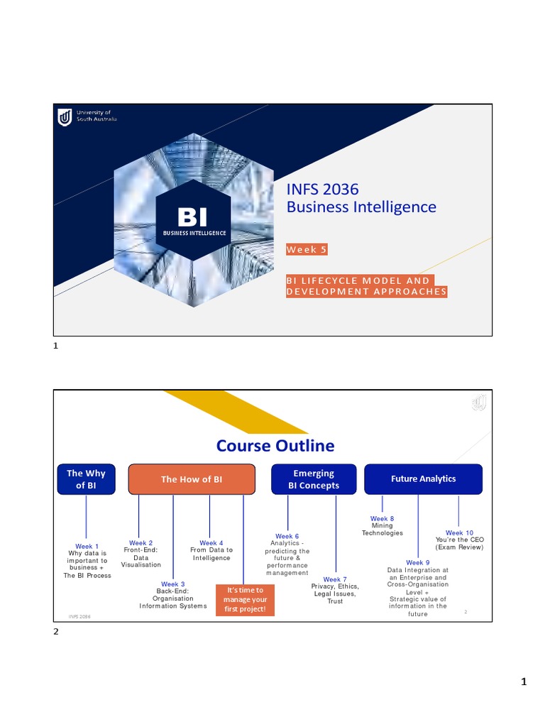 BI Lifecycle and Project Management Insights | PDF | Analytics ...