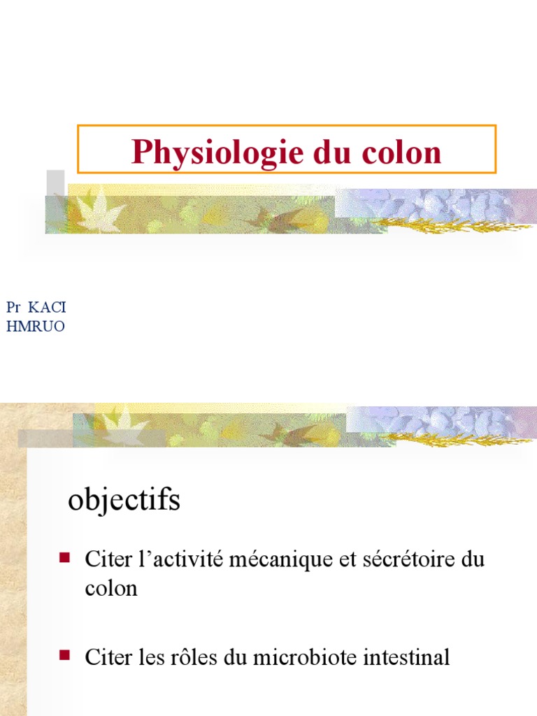Physiologie Du Colon | PDF | Rectum | Gros intestin