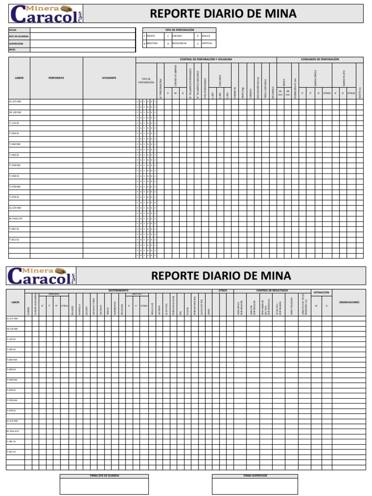 Nuevo Reporte Diario de Mina | PDF