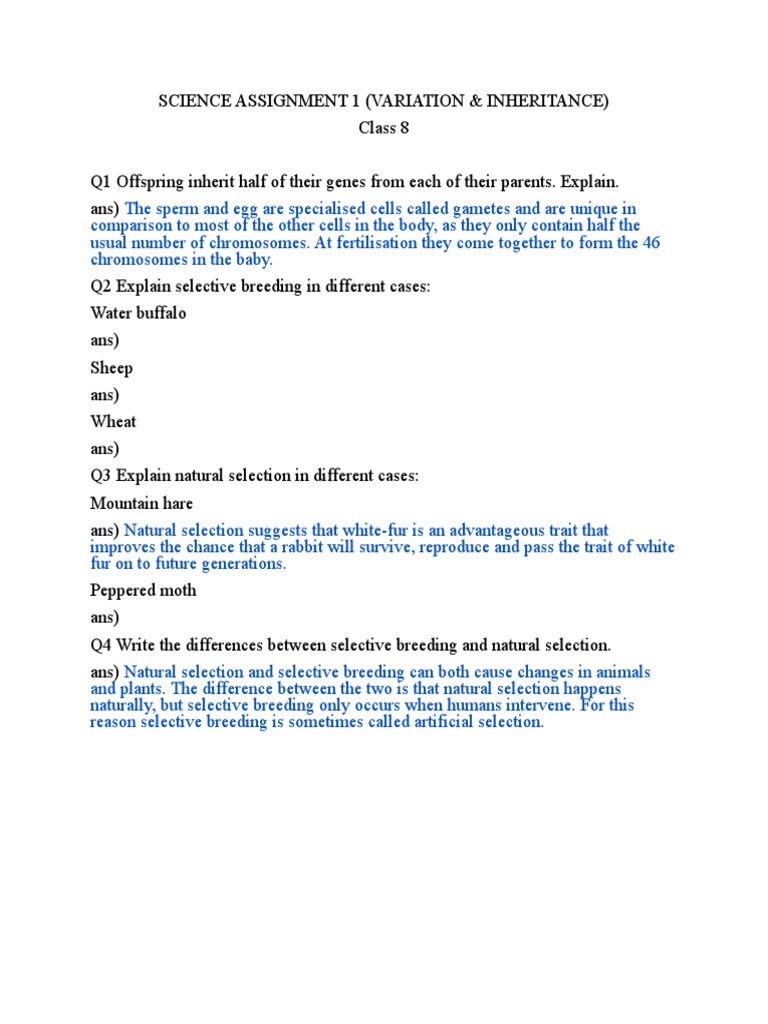SCIENCE ASSIGNMENT Answers | PDF