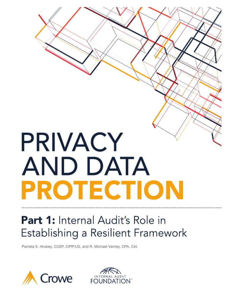 Privacy and Data Protection - Internal Audit's Role in Establishing A ...