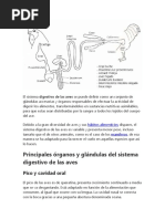Anatomia y Fisologia Del Sistema Digestivo de Las Aves | PDF ...