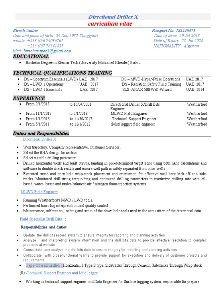 Curriculum Vitae: Directional Driller X | PDF