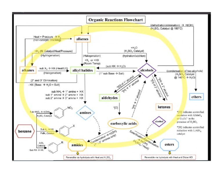 Organic Reactions Flowchart | PDF