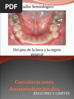 Triangulo de Farabeuf | PDF | Anatomía humana | Cabeza y cuello humanos