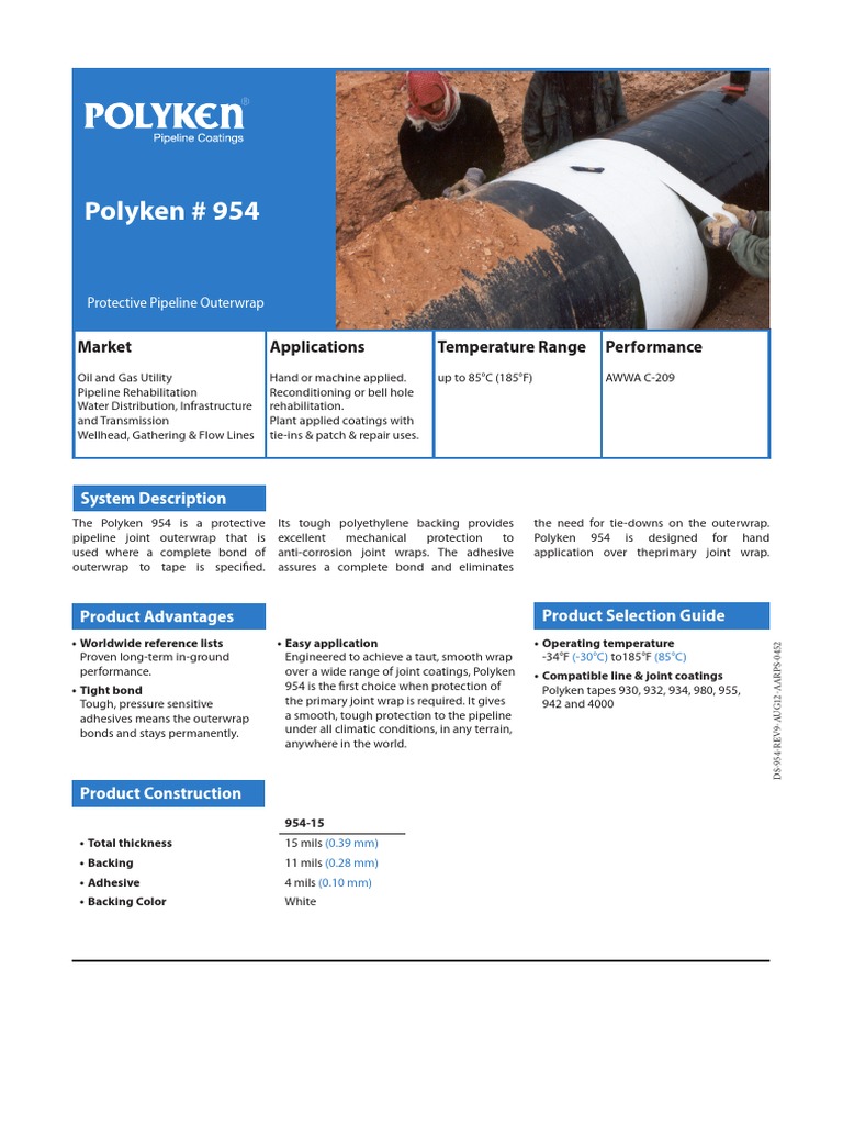 DS 954 Rev9 Aug12 Poliken | PDF