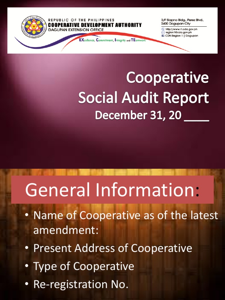 Cda - Social Audit Report | PDF | Governance | Employment