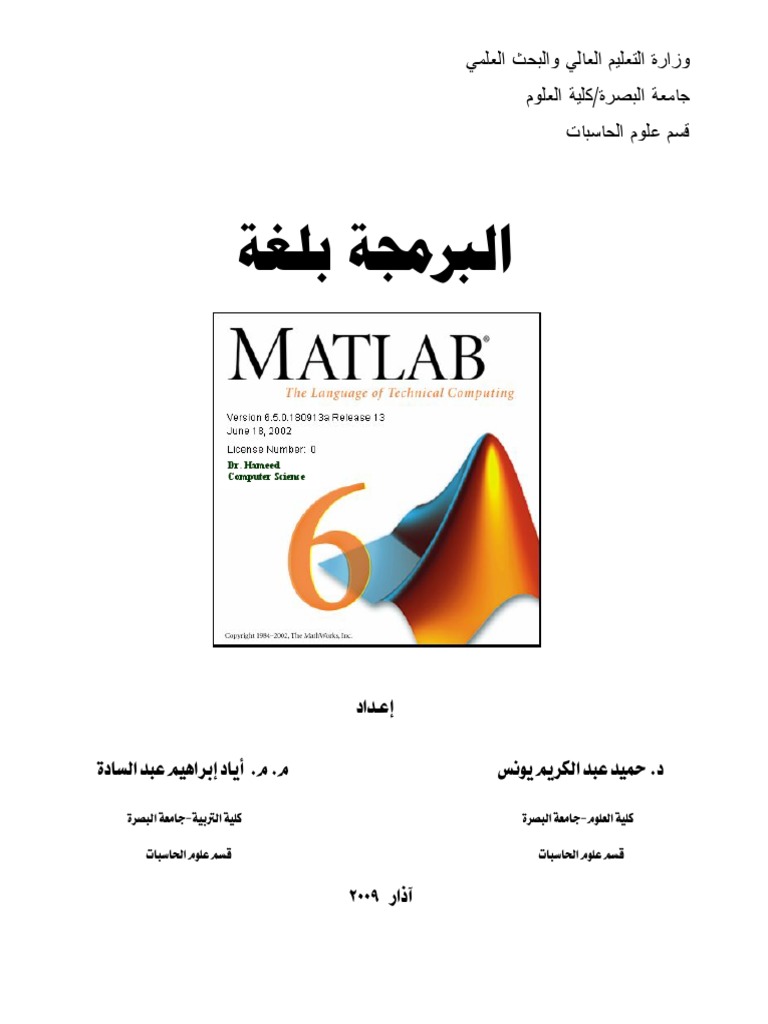 MATLAB Programming Language Guide | PDF