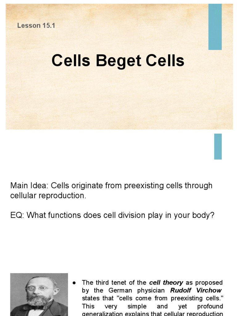 Lesson 15.1 Cells Beget Cells | Download Free PDF | Cell (Biology ...