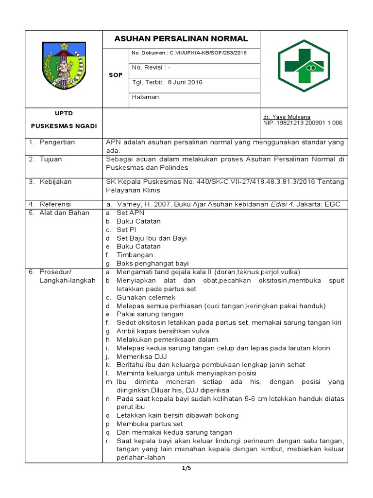 SOP Asuhan Persalinan Normal | PDF