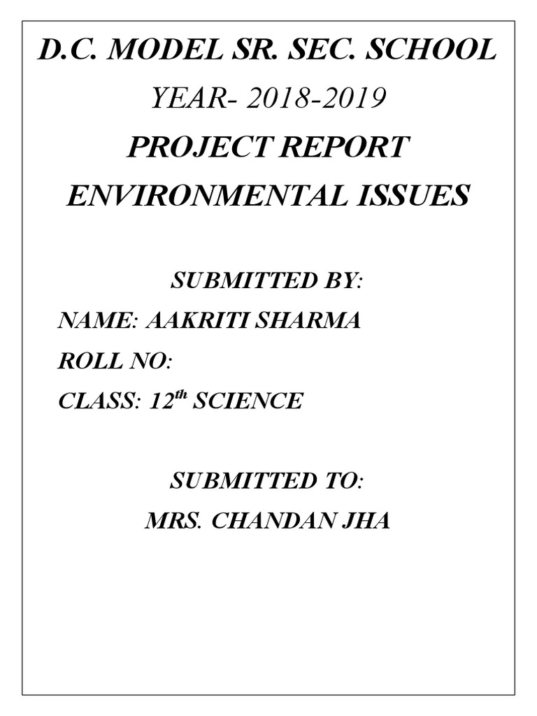 Environmental Issues Project | PDF | Natural Environment | Sound