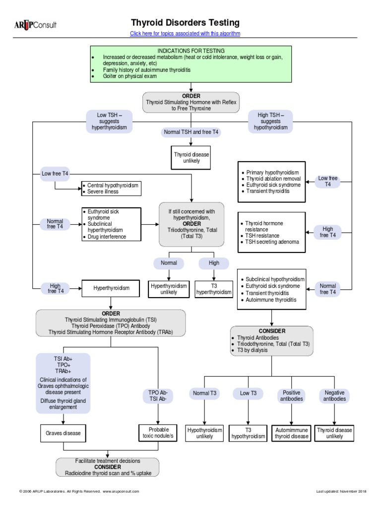 Thyroid Disorders Testing Algorithm | PDF | Thyroid Disease ...