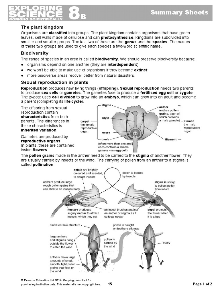 Summary Sheets: The Plant Kingdom | PDF | Sexual Reproduction | Flowers