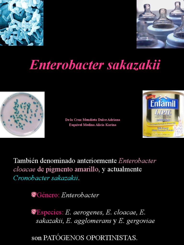 Enterobacter Sakazakii | PDF | Meningitis | Medicina CLINICA