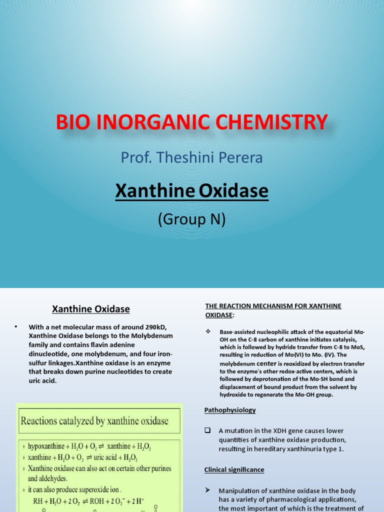 Xanthine Oxidase: Mechanism & Significance | PDF | Molybdenum | Organic ...