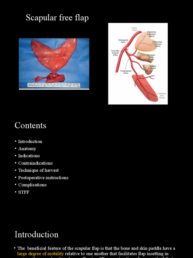 Scapular Free Flap | PDF