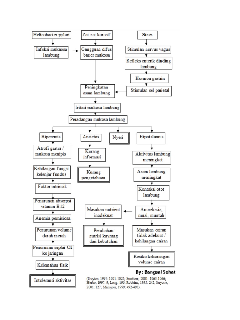 Pathway Gastritis | PDF