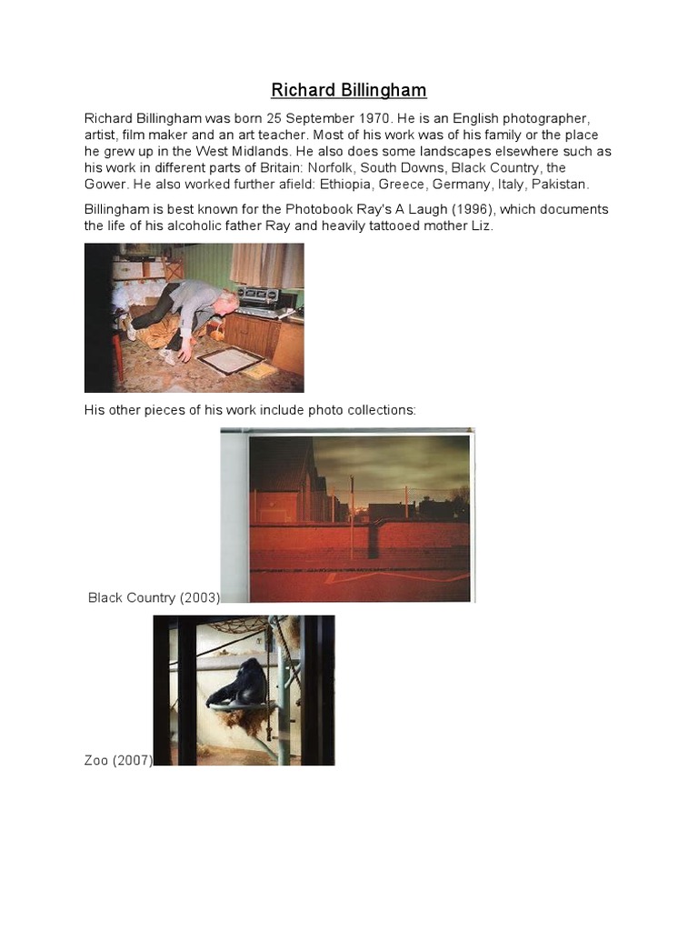 Richard Billingham: Ray's A Laugh Insights | PDF