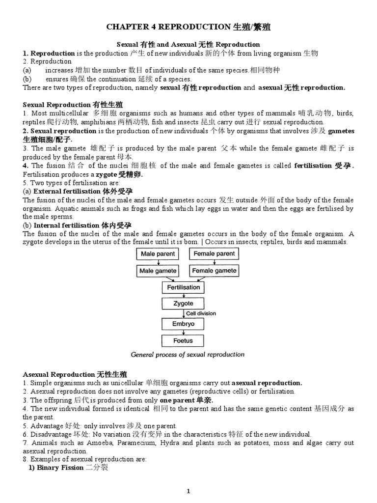 f1 Chapter 4 Reproduction | PDF | Seed | Menstrual Cycle