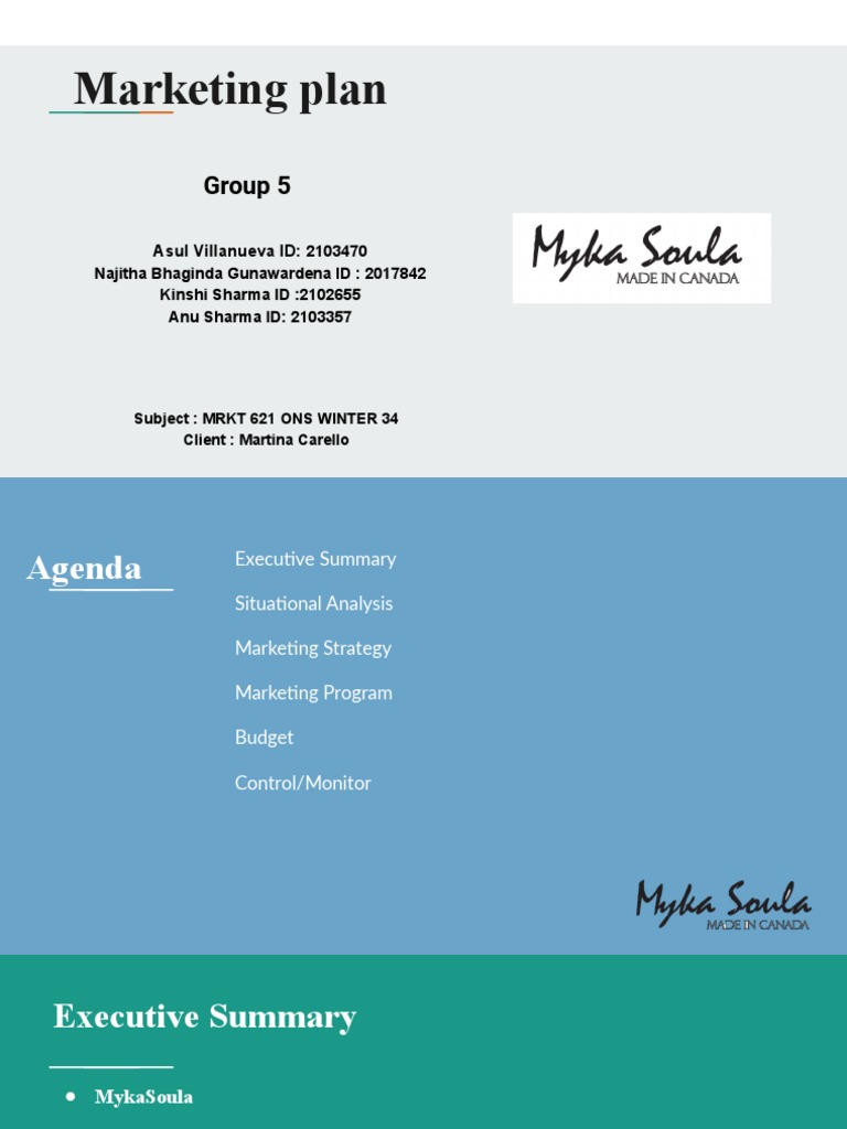 Project Wireframes | Download Free PDF | Marketing | Marketing Strategy