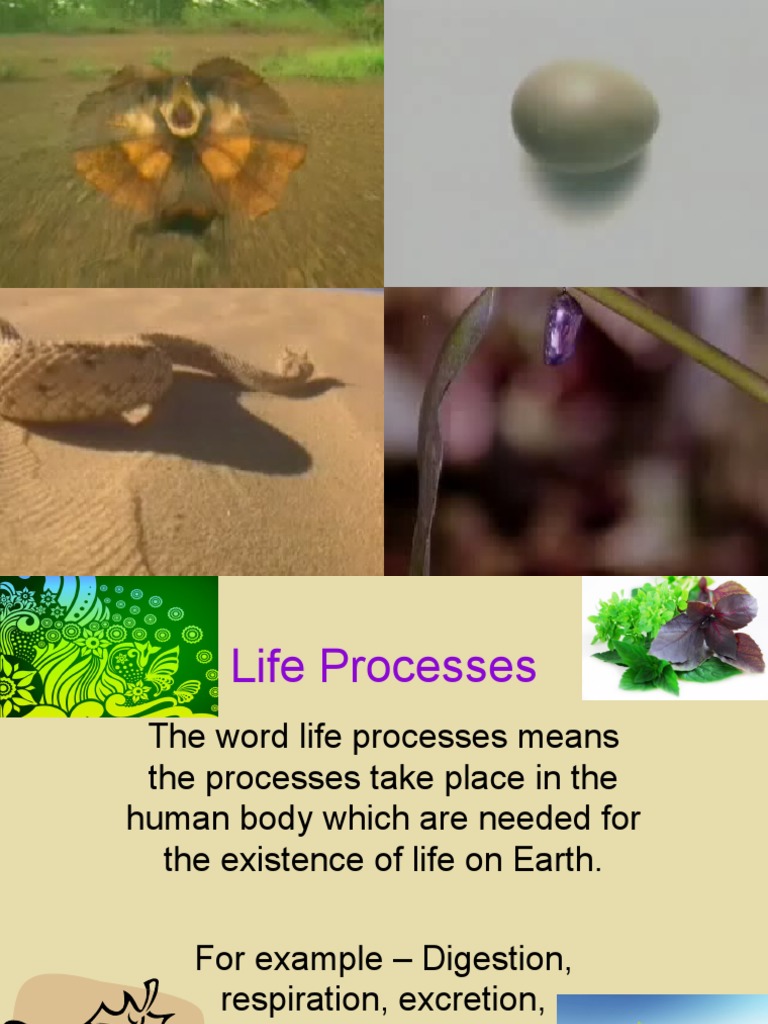 Life Processes