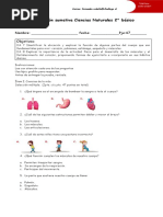 Prueba 2° Básico Mi Cuerpo Ciencias Naturales | PDF | Pulmón | Corazón