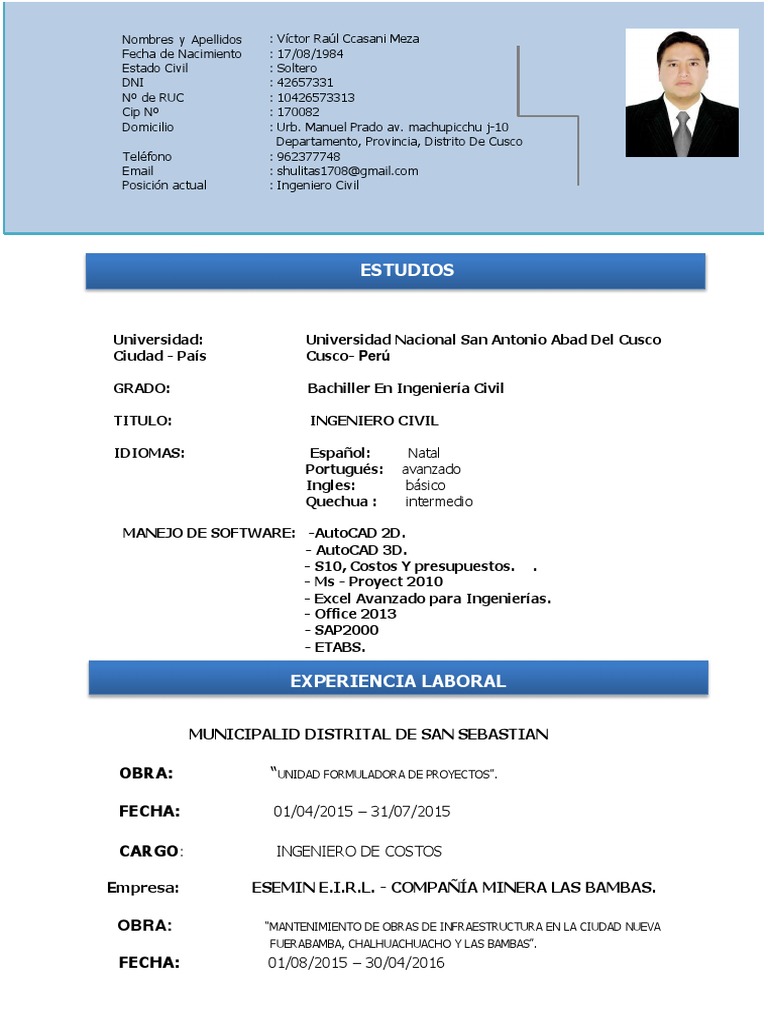 CV Ing - Raul | PDF | Economias | Ingeniería