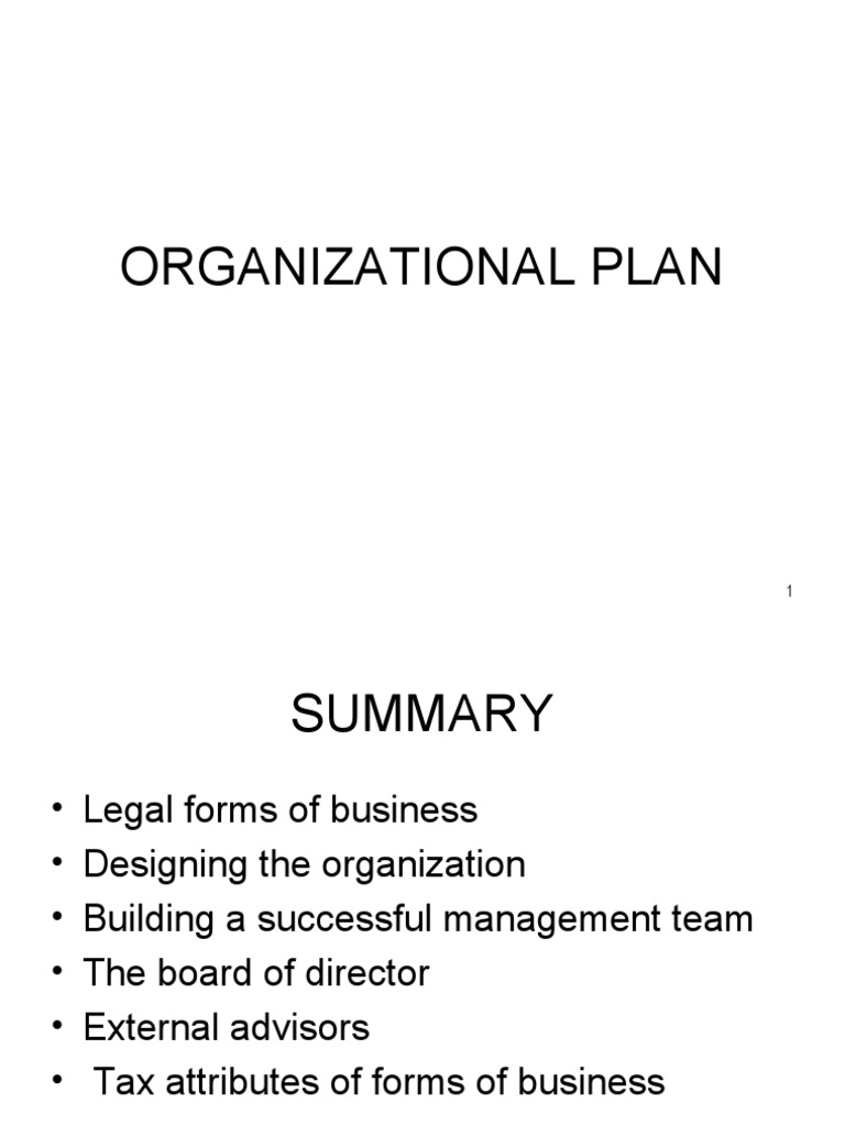 The Organizational Plan | PDF | Partnership | Ownership