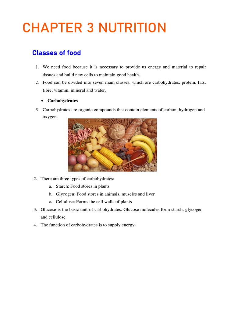 Chapter 3 Nutrition | PDF | Digestion | Calorie
