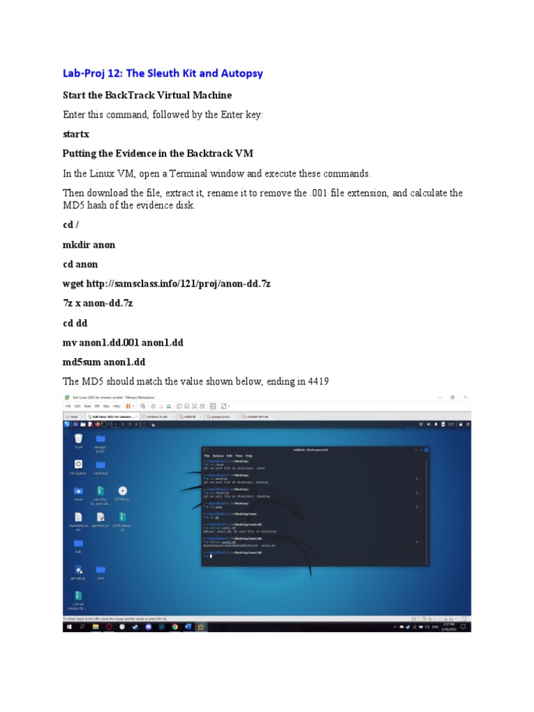 Lab-Proj 12: The Sleuth Kit and Autopsy | PDF | Button (Computing) | Computer File