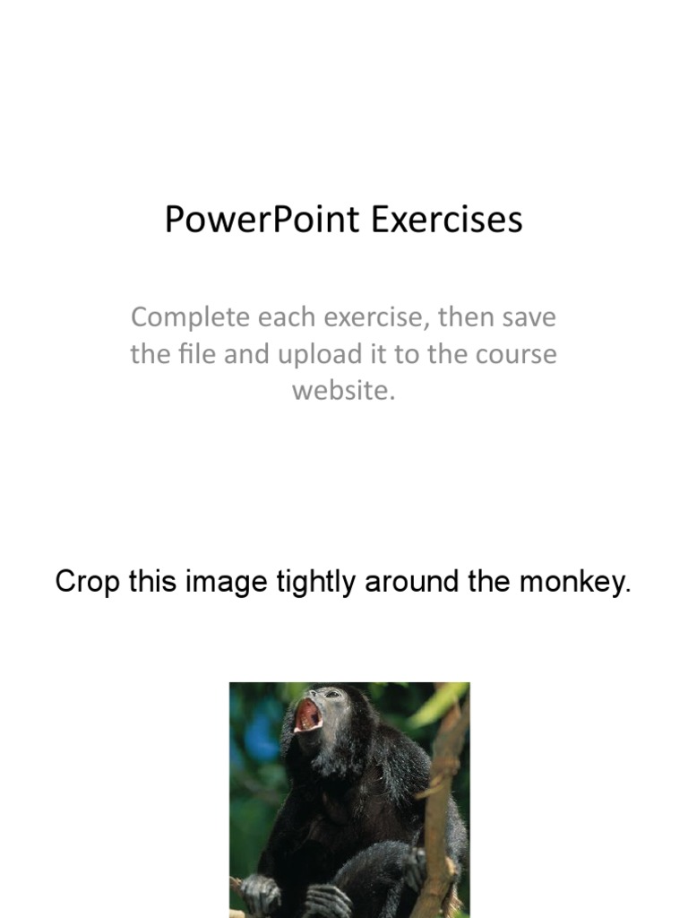 Engl-314-Mccool Files 2013 07 PPT-exercises | PDF