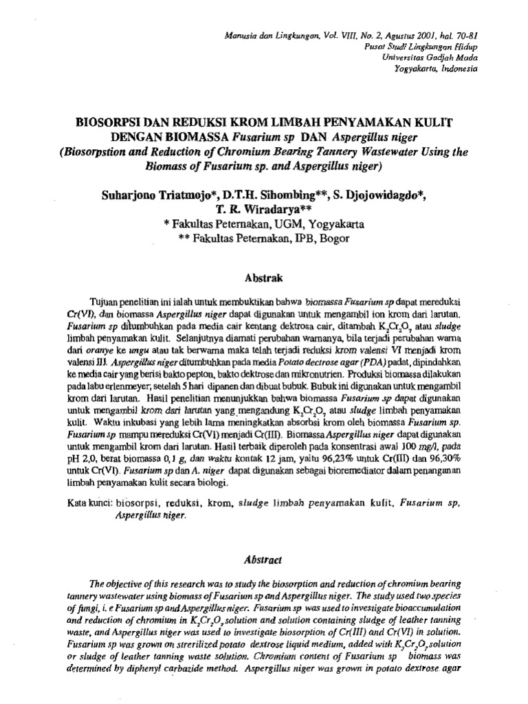 Jurnal Jamur Morfologi - Aspergillus SP | PDF