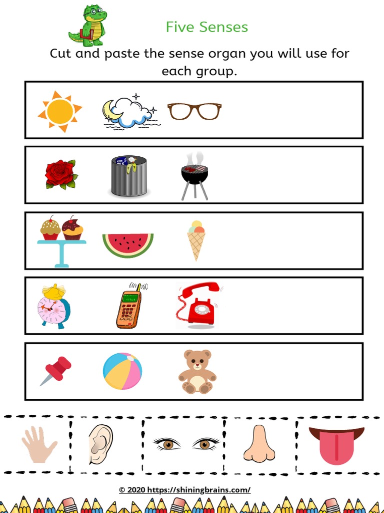 Kindergarten Science Worksheet 6 | PDF
