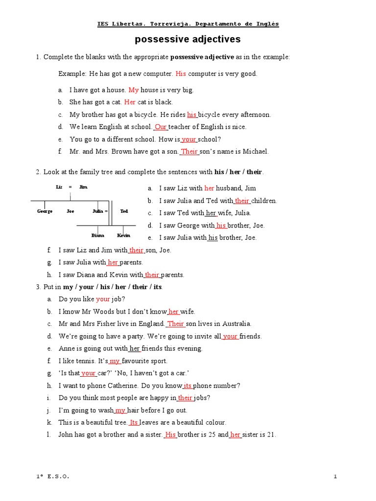 Possessive Adjective Exercises | PDF