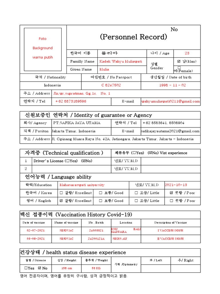 Contoh Form Untuk Visa Korea | PDF