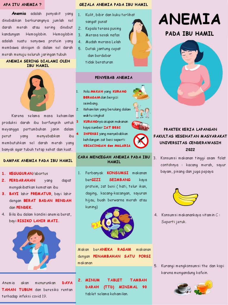 Leaflet Anemia Ibu Hamil | PDF