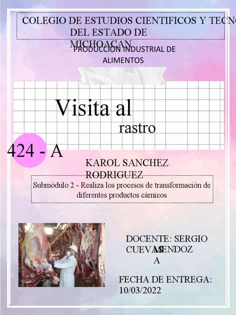 Visita Al Rastro | PDF | Carne | Vacas