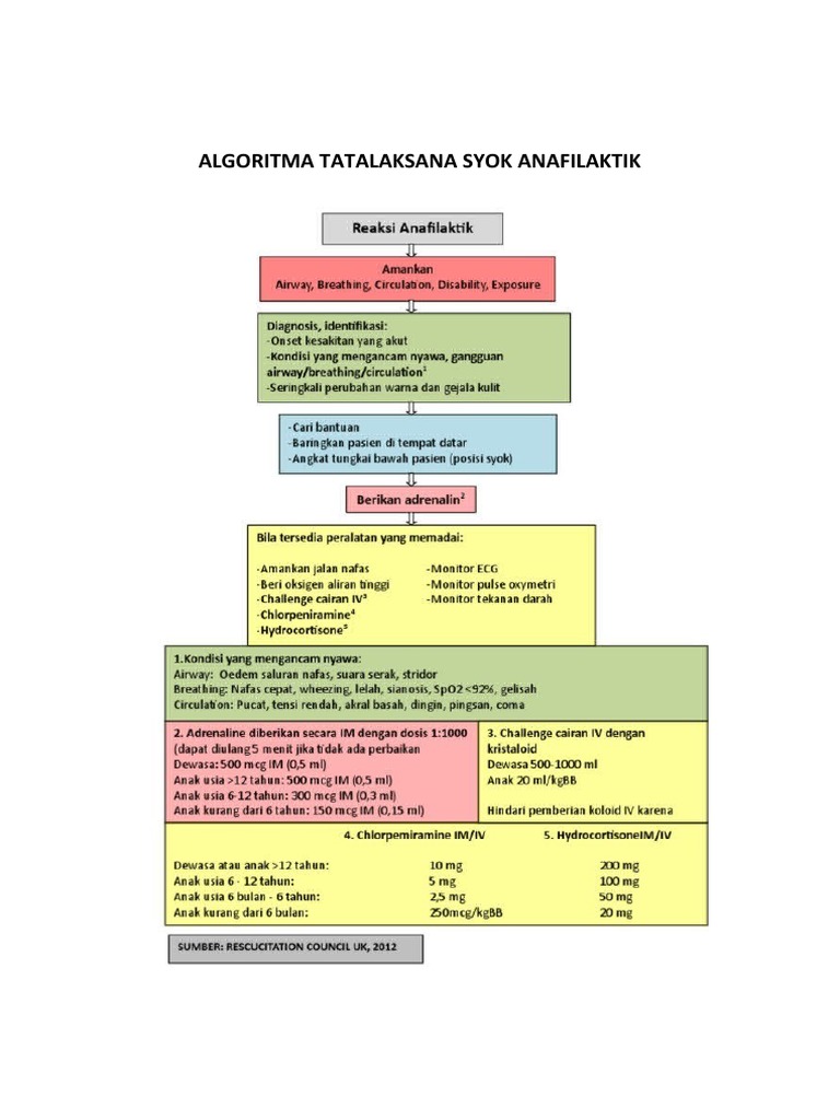 Shock Anafilaktik - Perumperindo.co.id