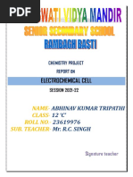Chemistry Project On Electrochemical Cell | PDF | Redox | Electrochemistry